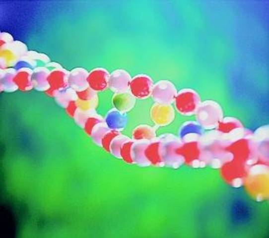 Los principales descubrimientos del ADN timeline | Timetoast timelines